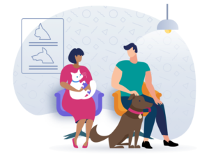 7 Best Florida (FL) Dog Insurance Plans Compared in 2026