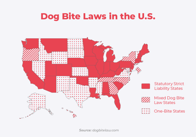 Dog Bite Statistics: 38 Most Aggressive Breeds in 2025 – The Swiftest