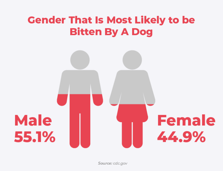 Dog Bite Statistics: 38 Most Aggressive Breeds in 2025 – The Swiftest
