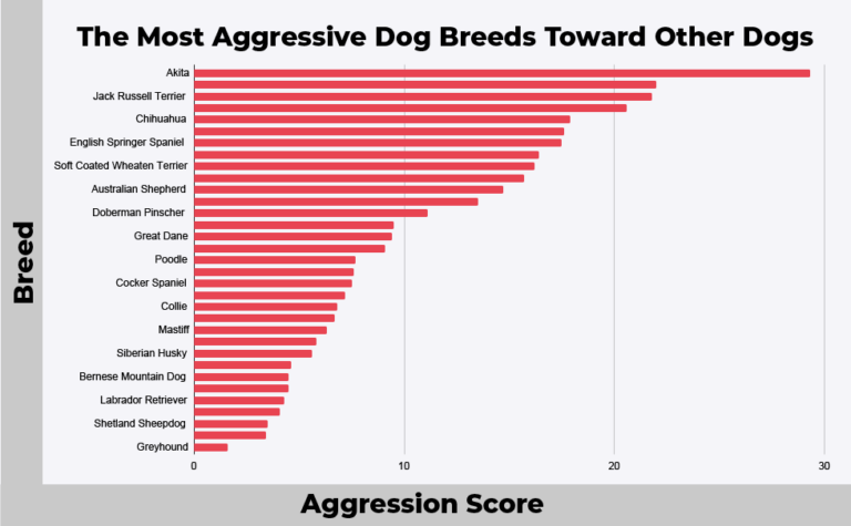 Dog Bite Statistics: 38 Most Aggressive Breeds in 2025 – The Swiftest