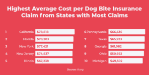 Dog Bite Statistics: 38 Most Aggressive Breeds in 2025 – The Swiftest